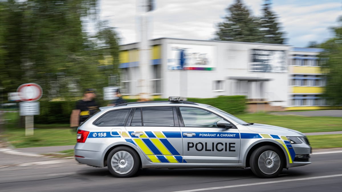 Mutter soll Baby an Hunde verfüttert haben
