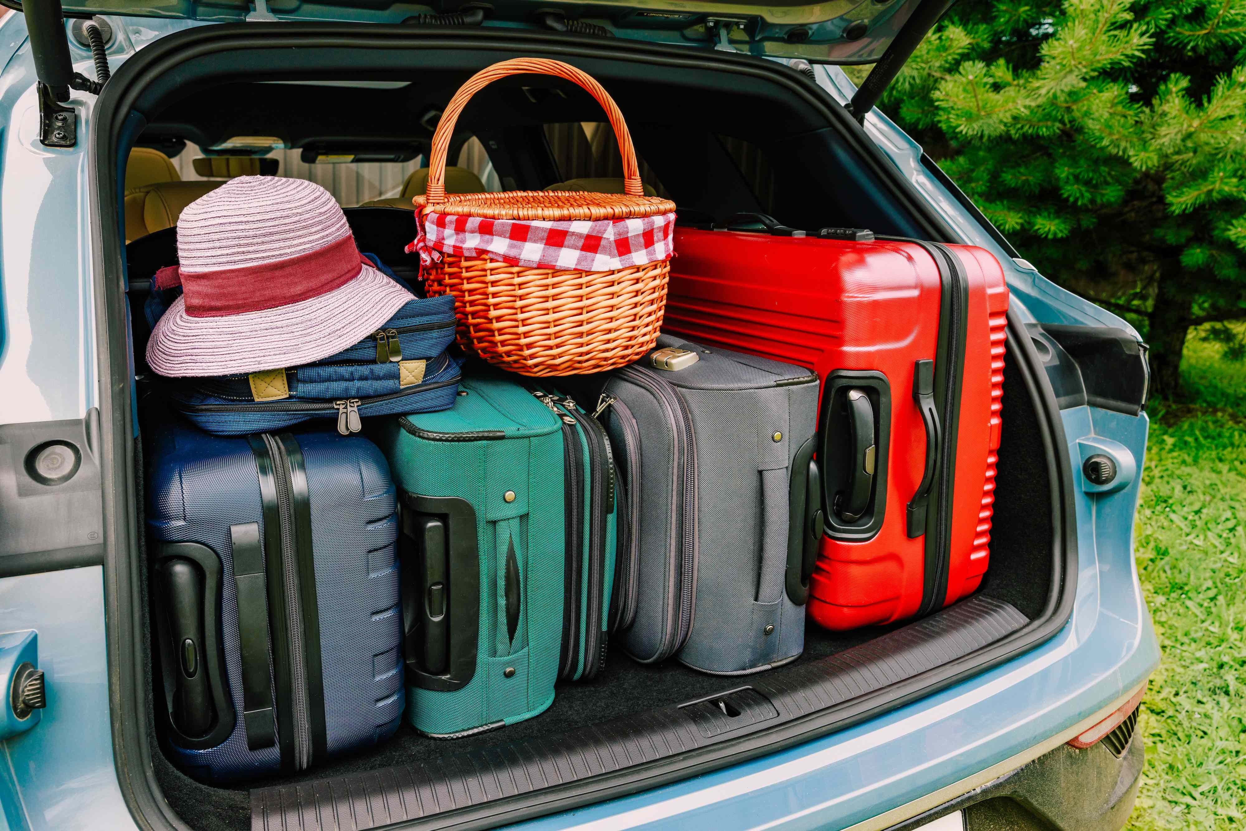 How to prevent pests while you're on summer vacation, according to an ...