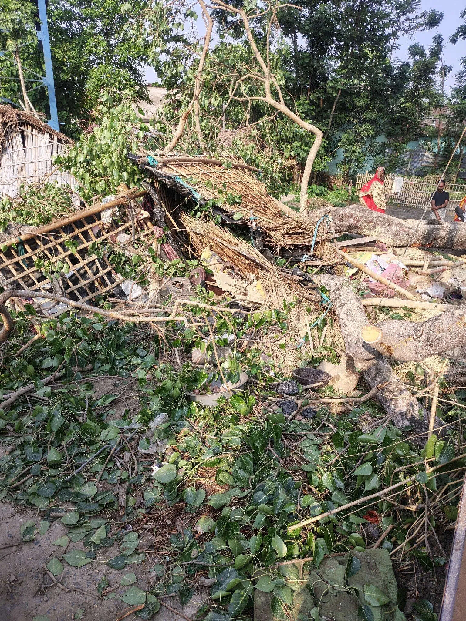 5 of family die as tree falls on house in Sitamarhi