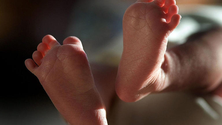 WSU study finds father’s health before conception may affect future ...