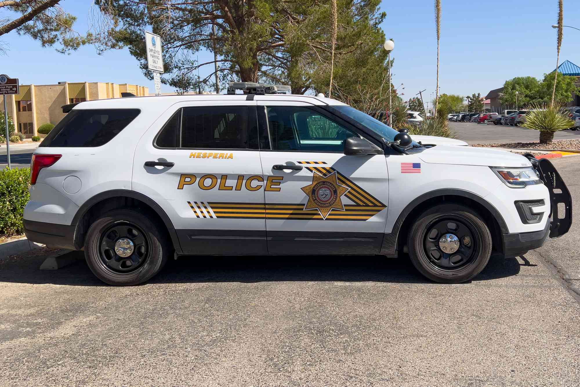 17-year-old boy dies after speeding car carrying 8 teens crashes off ...