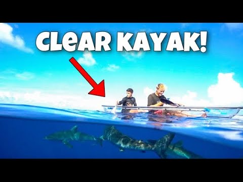 Clear kayak journey with giant sharks!