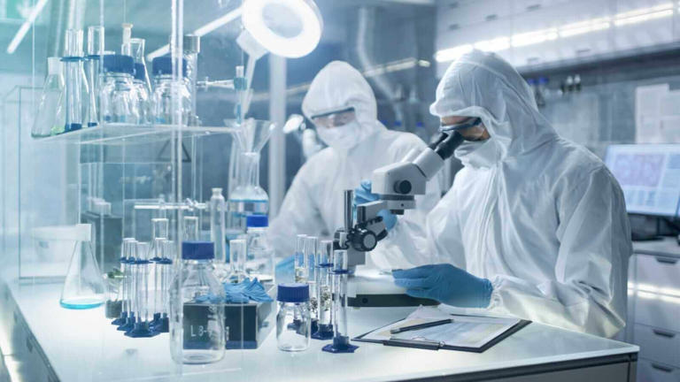 Tango Therapeutics (TNGX) stock soars on pancreatic cancer trial results