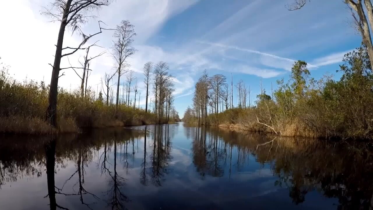 Okefenokee National Wildlife Refuge moves closer to World Heritage Site ...