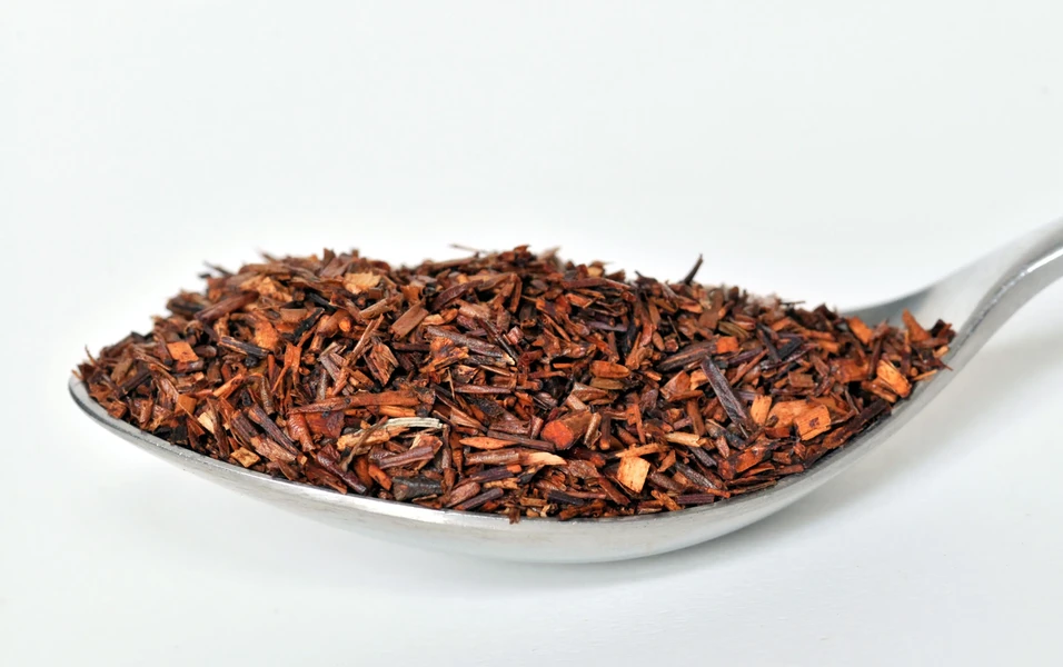 Rooibos tea secrets from bush to brew
