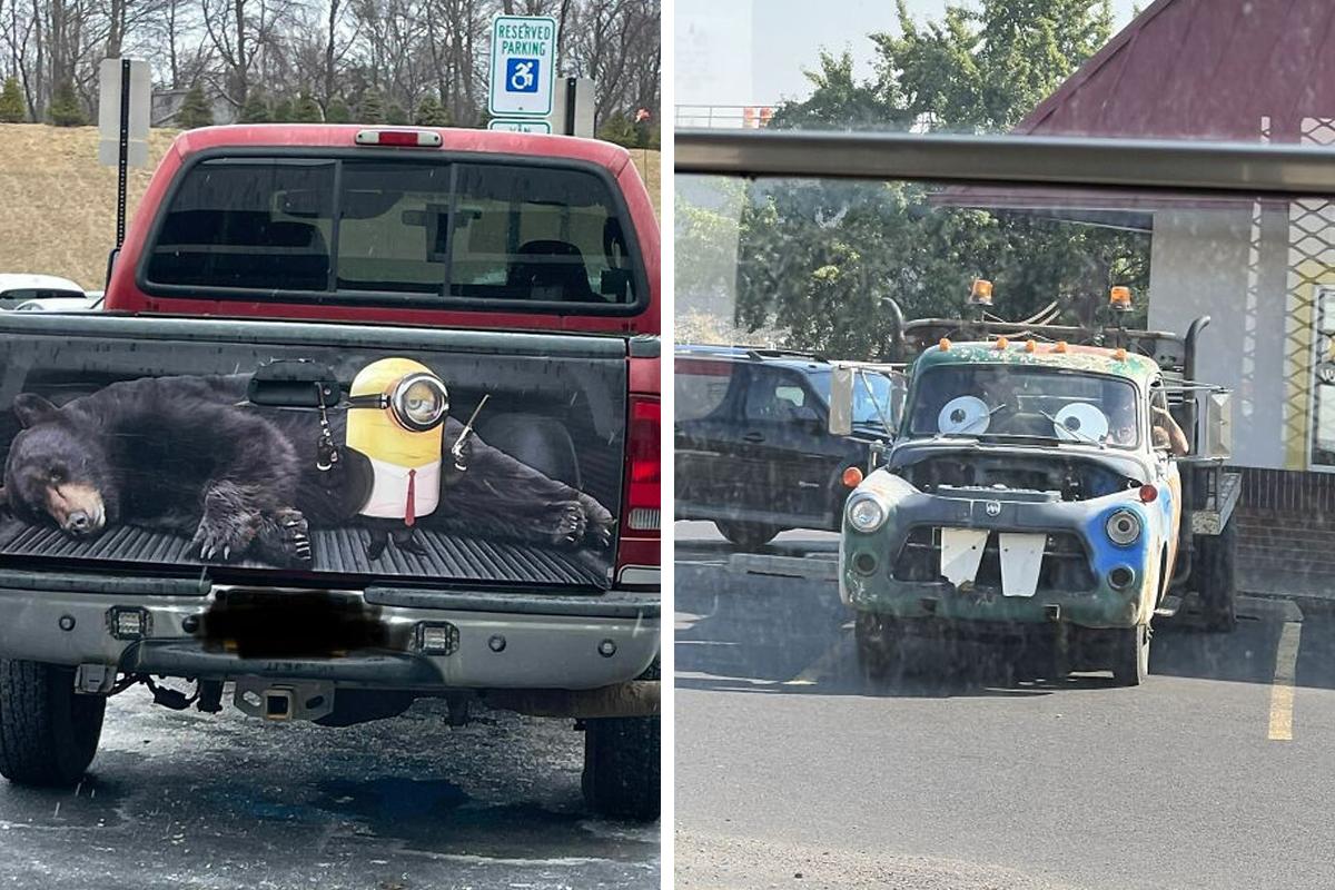 17 photos that will have you in stitches