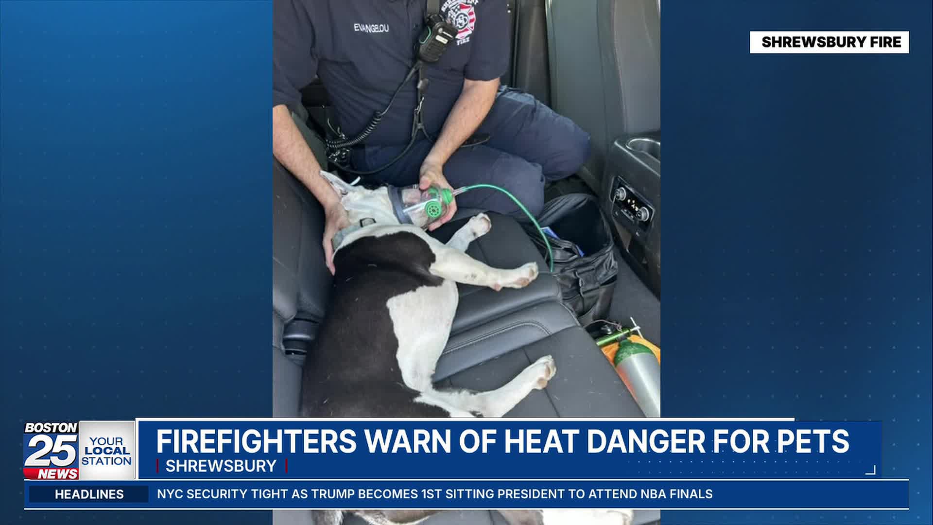 Shrewsbury firefighters rescue two dogs suffering from heat-related stress