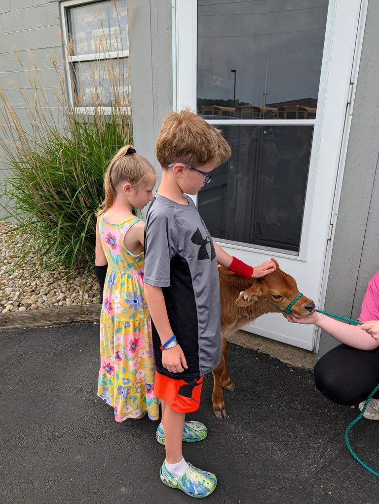 Northwestern Wayne FFA hosts petting zoo for students