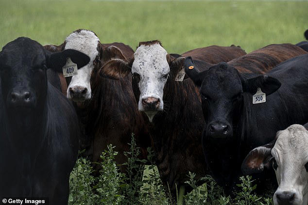 Invasion of flesh-eating parasites triggers quarantines in multiple US ...