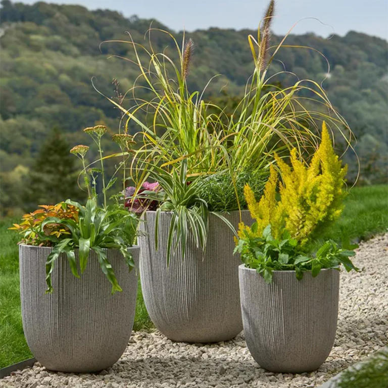 Alan Titchmarsh's simple 'power of three' trick is perfect for ...