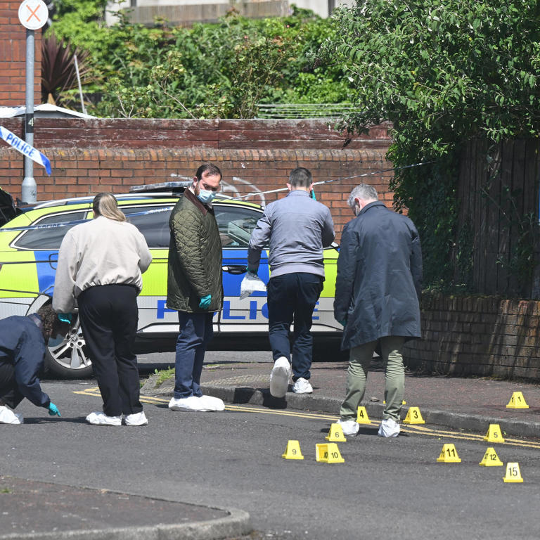 Stabbing attack in Belfast sparks calls for anti-immigration protests