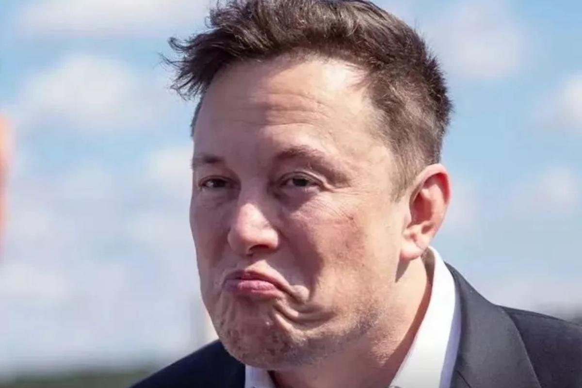 Elon Musk's net worth surges past $800 billion — SpaceX IPO pushes ...