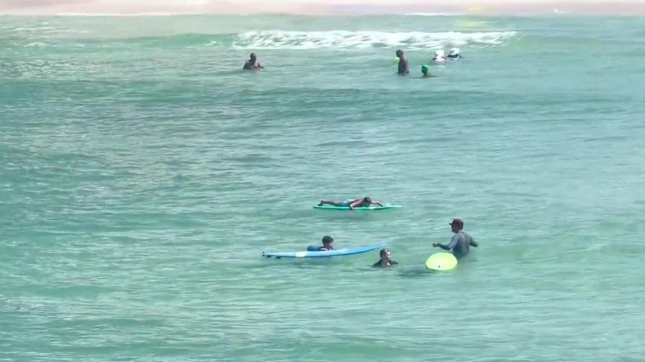 Navy employee attacked by shark off Florida coast