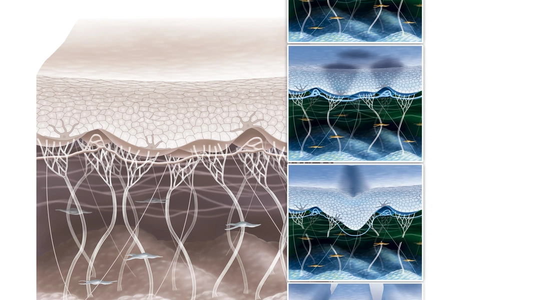 Dermatologists unveil streamlined anti-aging skincare plan for mature skin