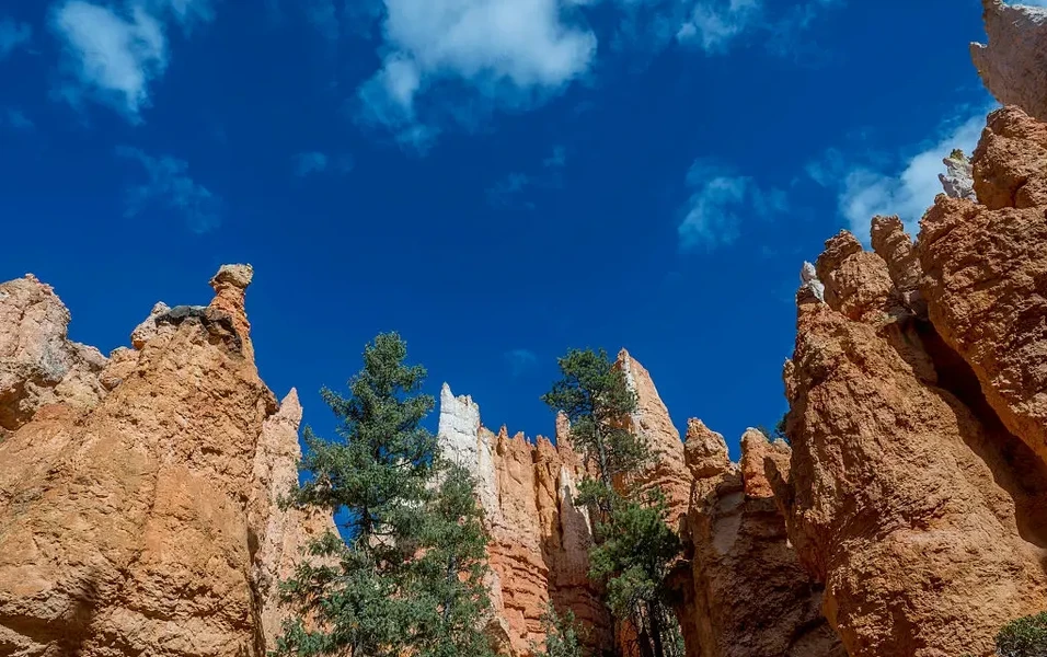 Bryce Canyon adventures for every kind of explorer
