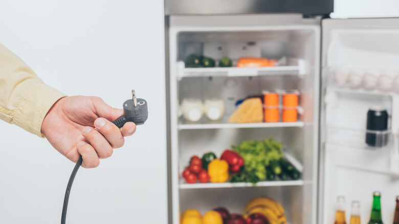 Not 24 hours: How long should you wait before plugging in a refrigerator?
