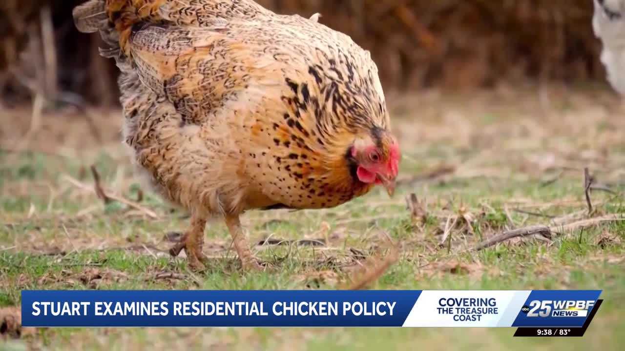 Stuart commissioners question proposed law allowing residents to keep ...