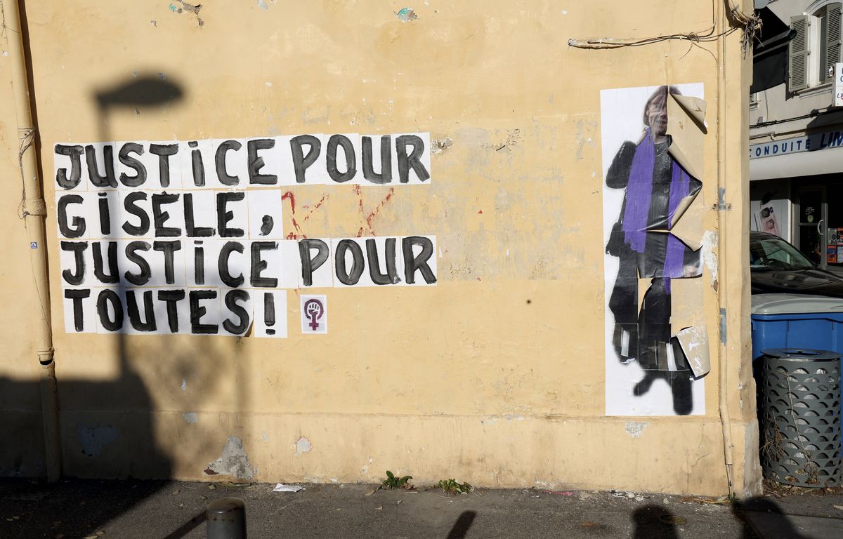 Un Lyonnais, en lien avec Dominique Pelicot, jugé pour le viol de sa ...