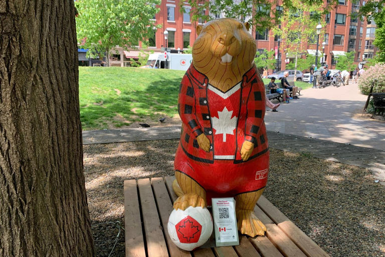 Join the beaver hunt: Toronto neighborhood offers unique World Cup ...