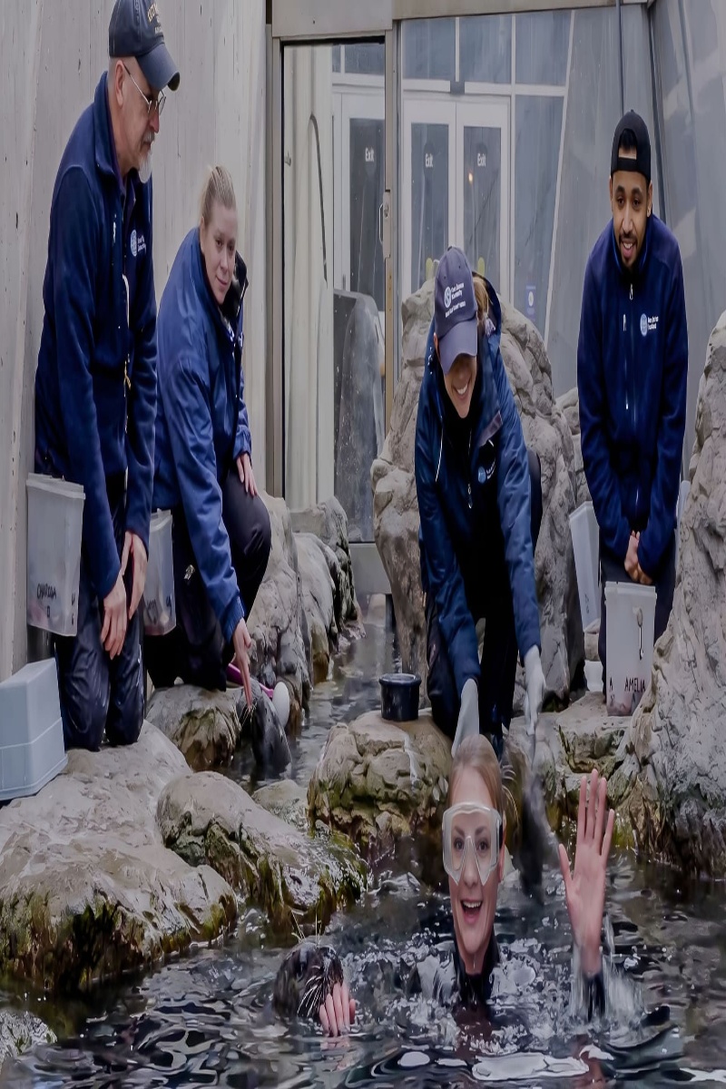 New England Aquarium redefining marine mammal training