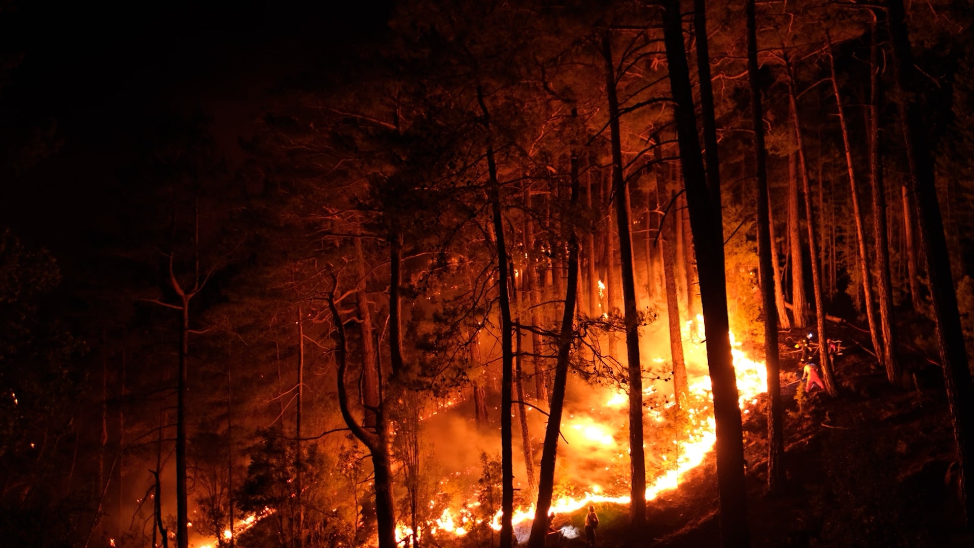 Wildfire safety 101: How to protect yourself and your home