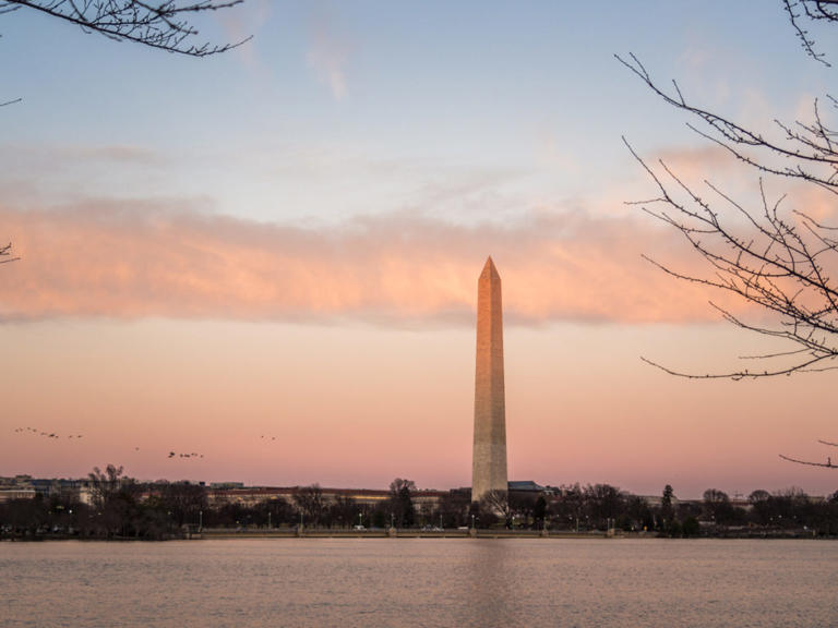 The 5 best things to do in DC with kids