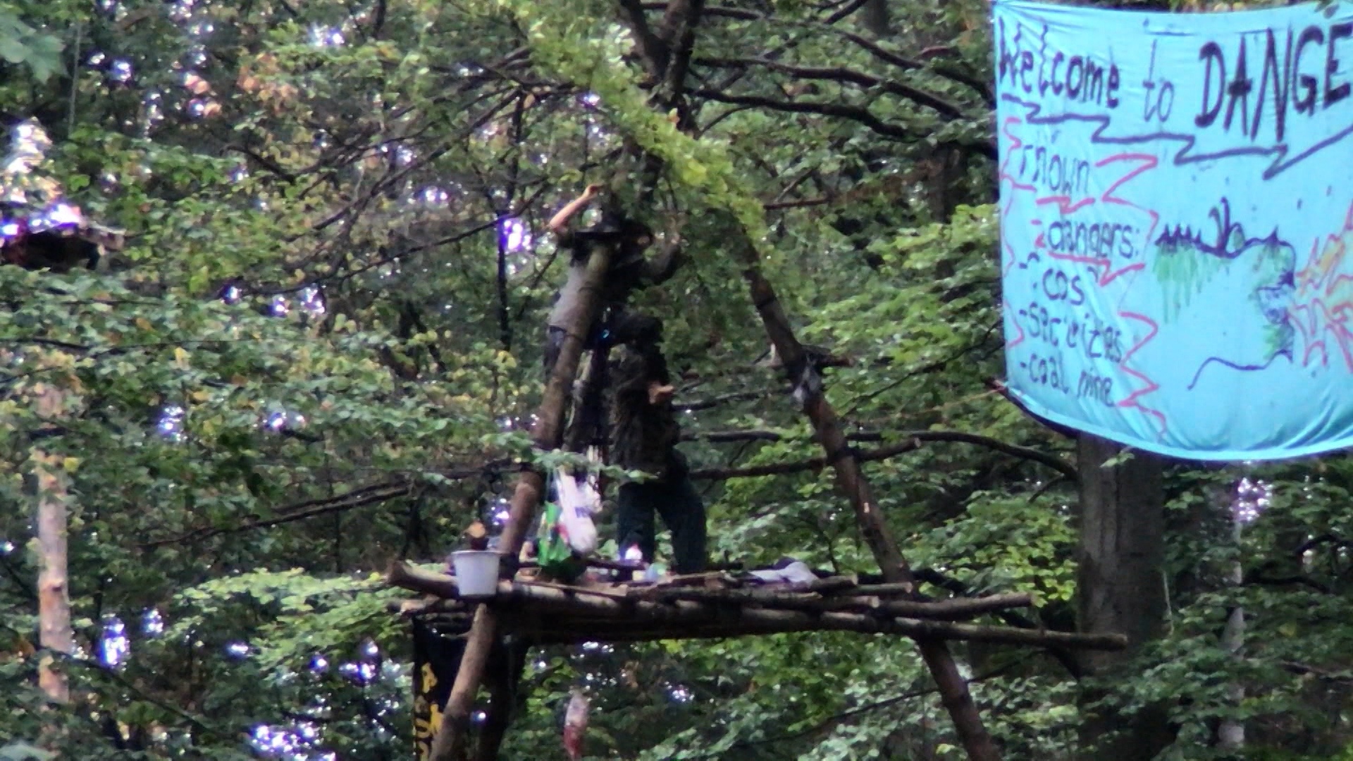 Schutz für Hambacher Wald: Vertrag soll bis Ende 2026 stehen