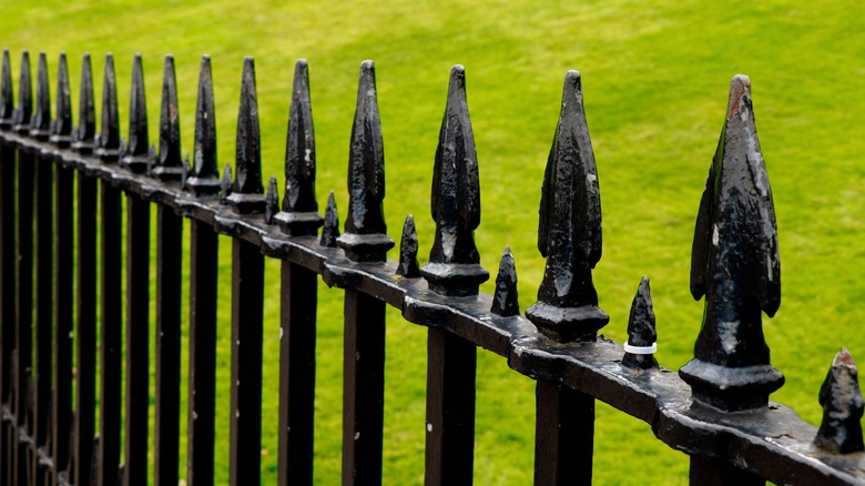 15 stunning wrought iron fence ideas for luxury curb appeal