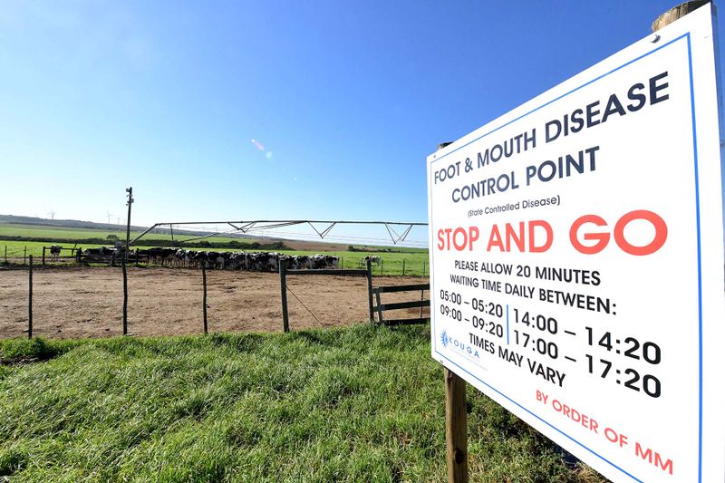 Foot in mouth: Comment by Steenhuisen’s chief of staff leaves bad taste