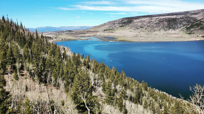 Utah's largest natural mountain lake is a beauty with top-tier fishing ...