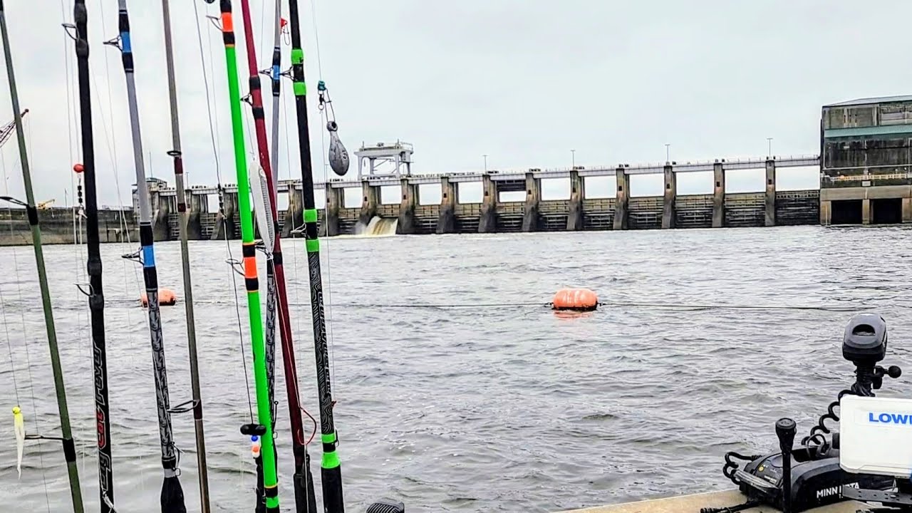 River fishing tips for big catfish success