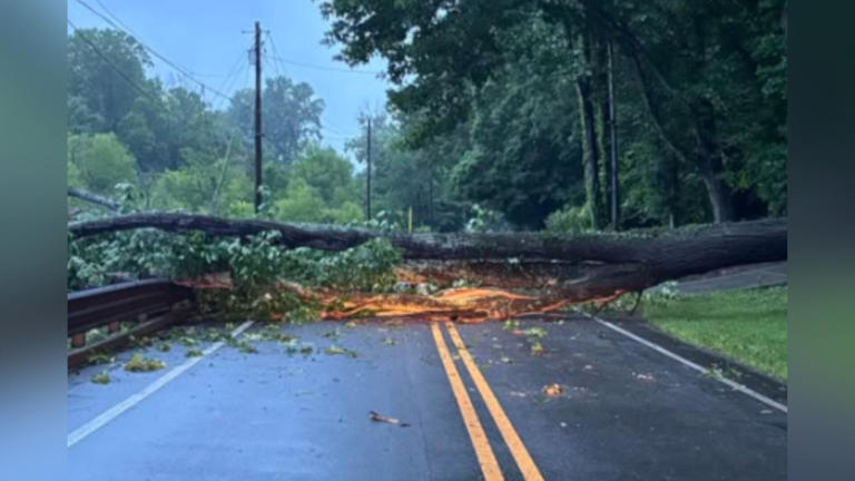 Overnight rains knock out power, down trees across metro Atlanta