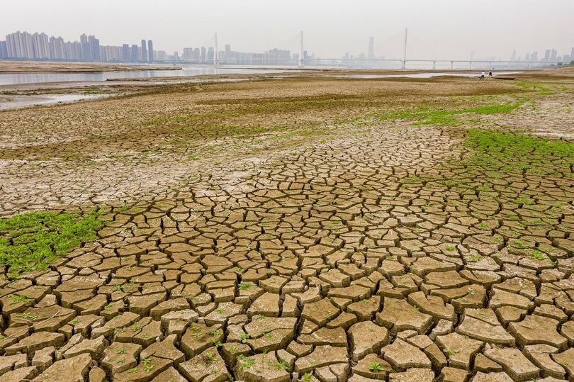 Scientists warn 4 major world rivers nearing potentially irreversible ...
