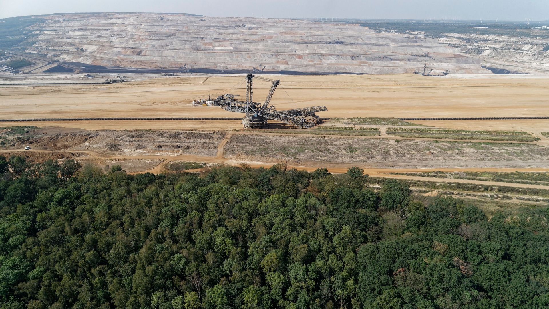 Hambacher Forst soll unberührter Wald werden