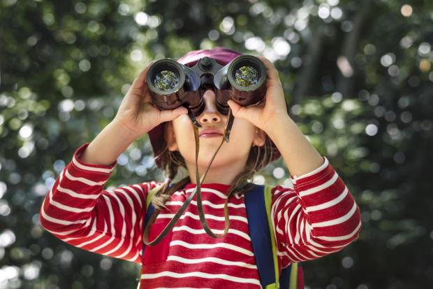 Win one of ten family memberships to Ventnor Botanic Garden