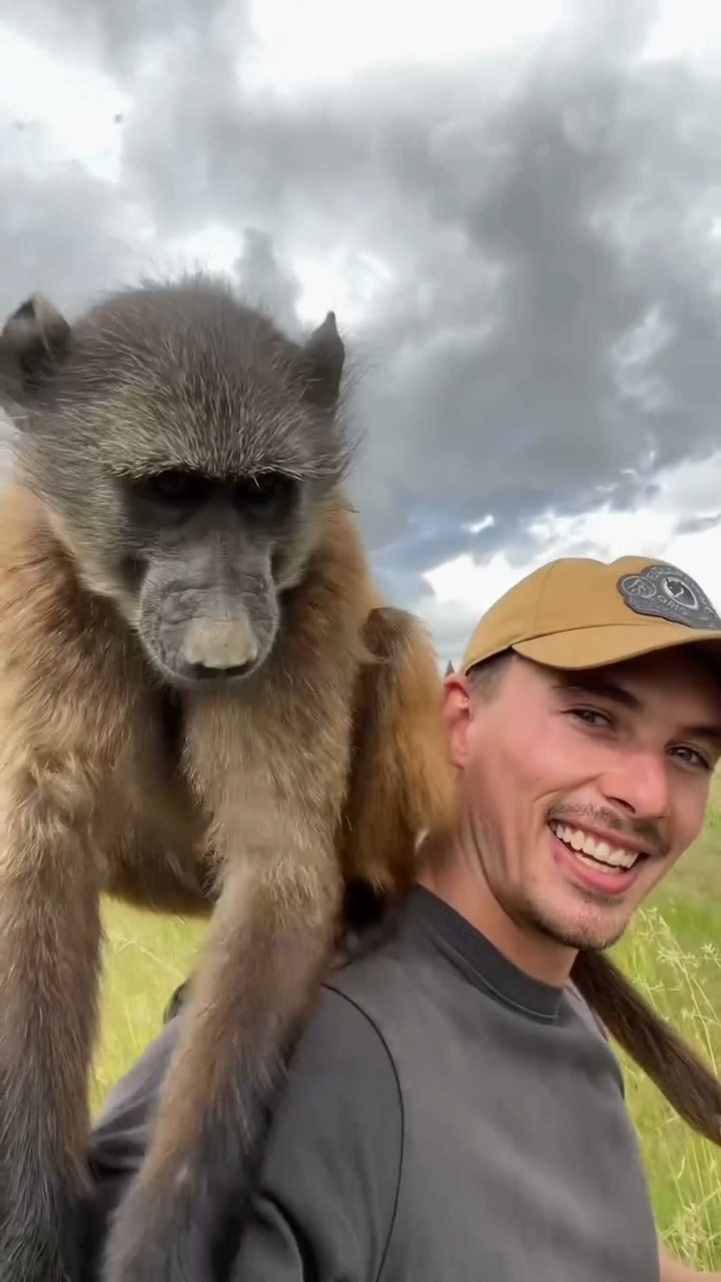 Baby baboon cuteness overload