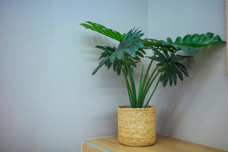 7 things unknowingly making your home look tacky, according to interior ...
