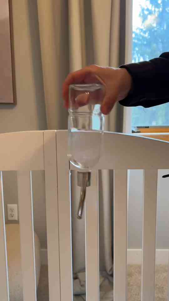 How to make sure your kid always has water on hand