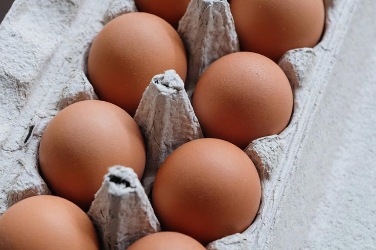 UK households told to check eggs for 8-digit code to avoid salmonella