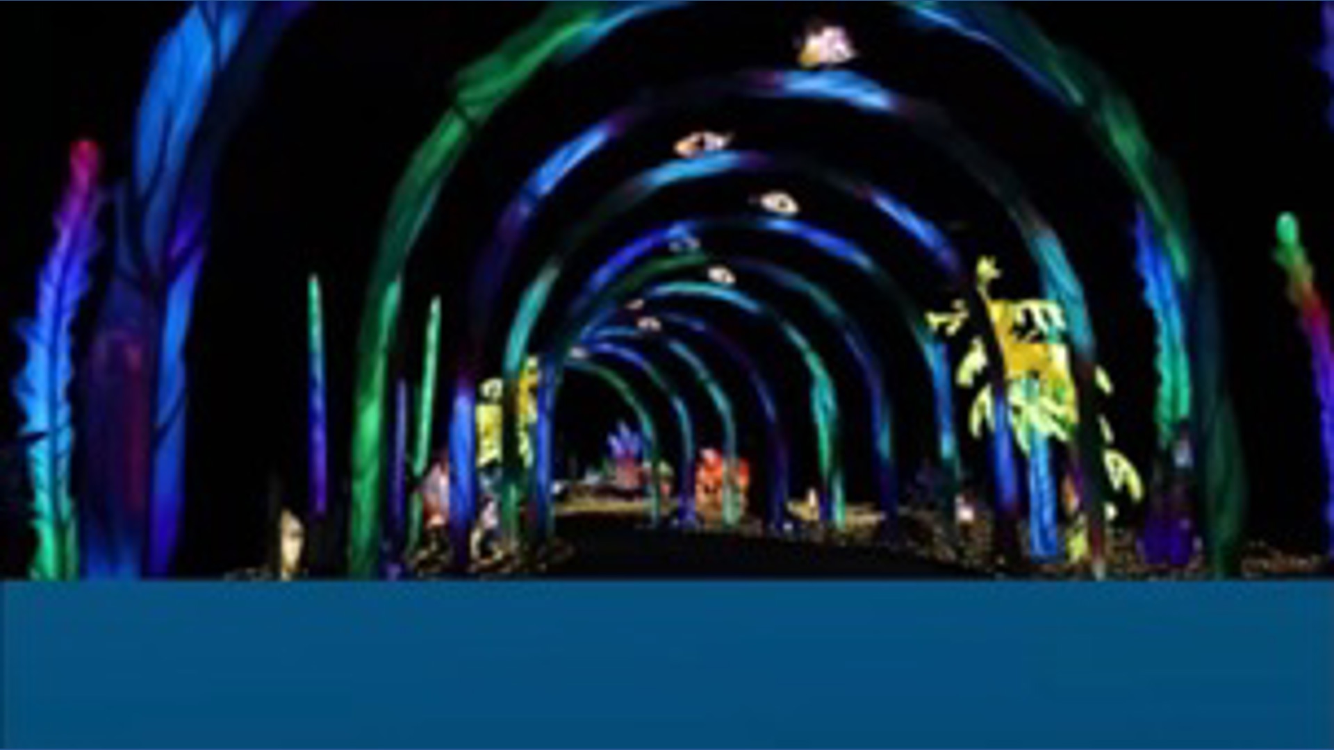 Asian Lantern Festival returns to Cleveland Metroparks Zoo