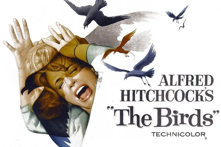 Alfred Hitchcock's The Birds was even more chaotic behind the scenes ...