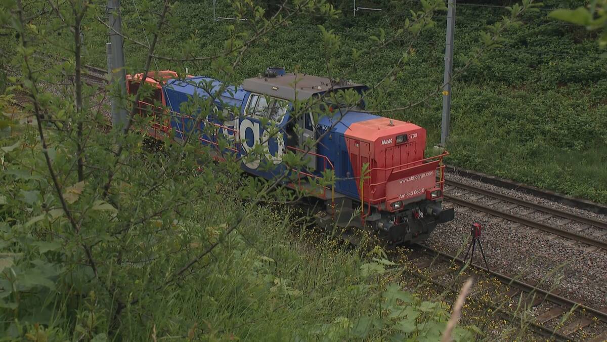 Unfall in Birmensdorf ZH: Rangier-Lokomotive erfasst SBB-Mitarbeiter ...