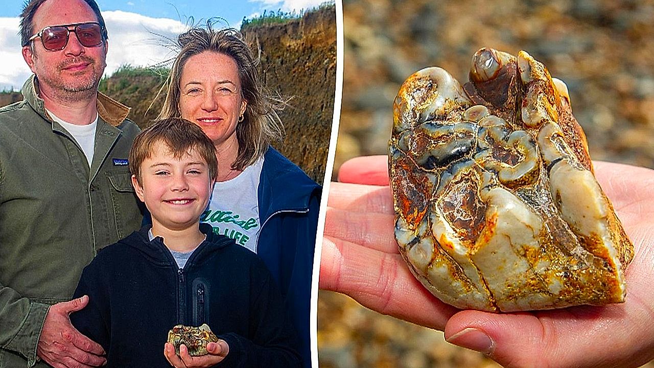 Boy, 11, stumbles upon 1.8-million-year-old elephant ancestor's tooth ...