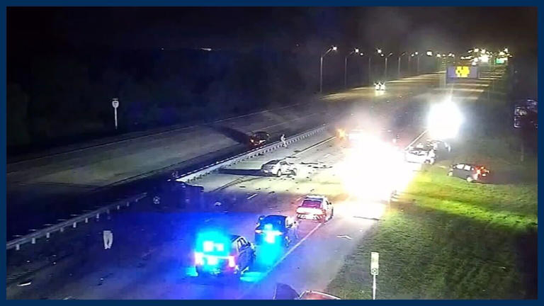 Alcohol, drugs found in system of wrong-way I-95 driver