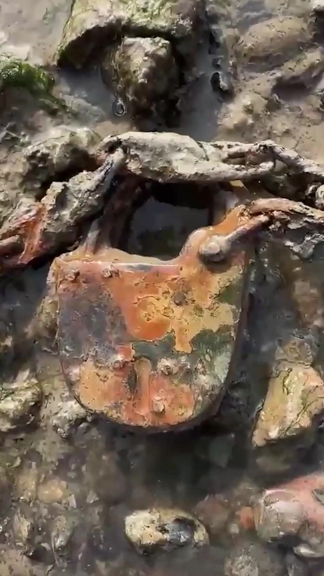 A remarkable Thames mudlarking find