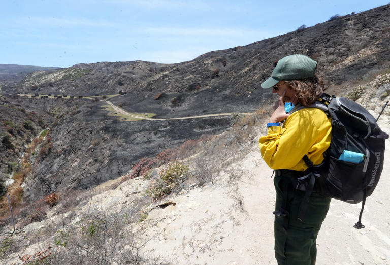 How the Channel Islands' largest fire is reshaping the National Park
