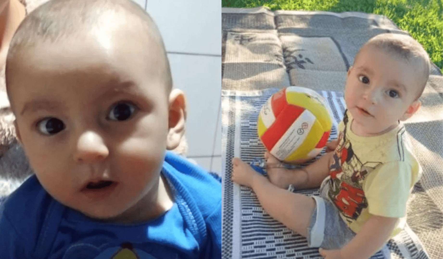 Bebê recebe veneno de cobra por engano