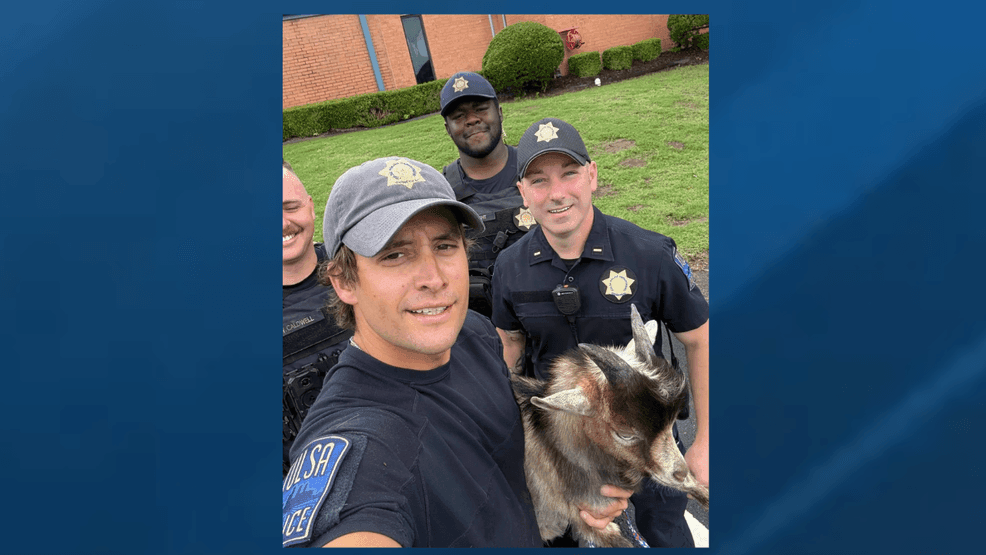 Baaaad boy: Oklahoma police officers wrangle, rescue baby goat