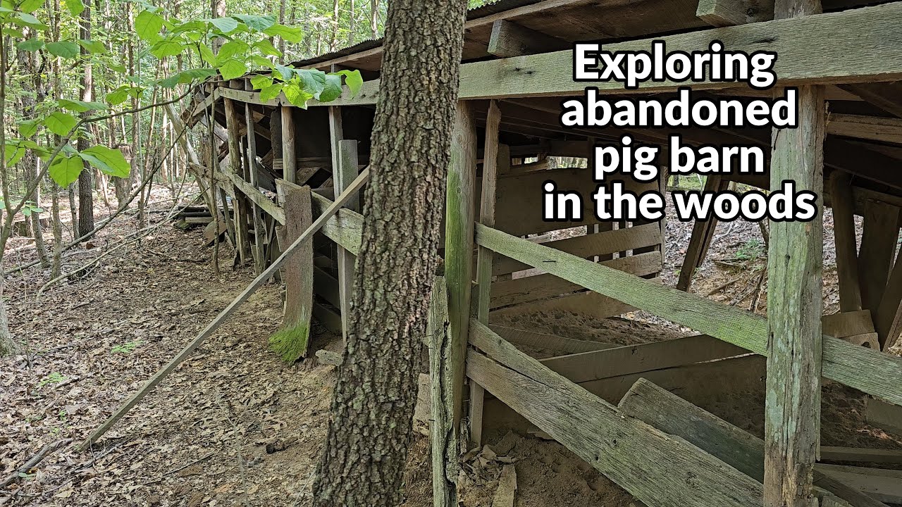 Exploring an abandoned pig barn