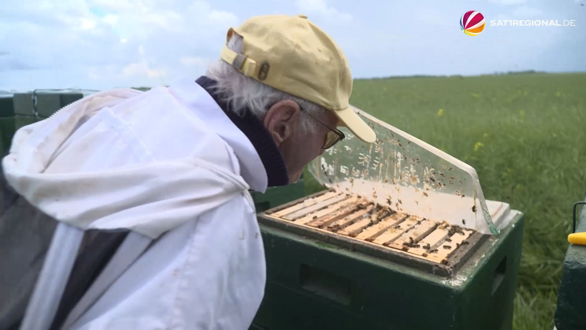 Husumer Imker-Paar seit 40 Jahren gemeinsam an den Bienenstöcken